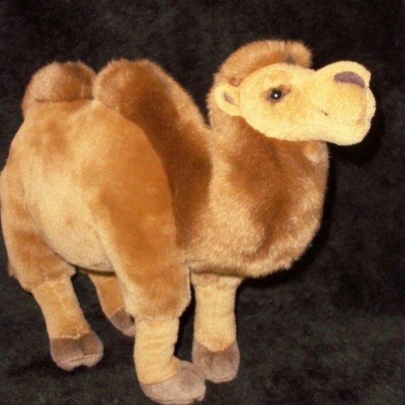 GANZ | Toys | Webkinz Signature Wild Bactrian Camel Plush Ganz Stuffed ...
